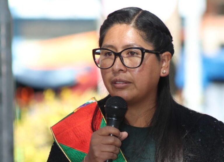 Eva Copa confirma la participación del partido Morena en las elecciones ...